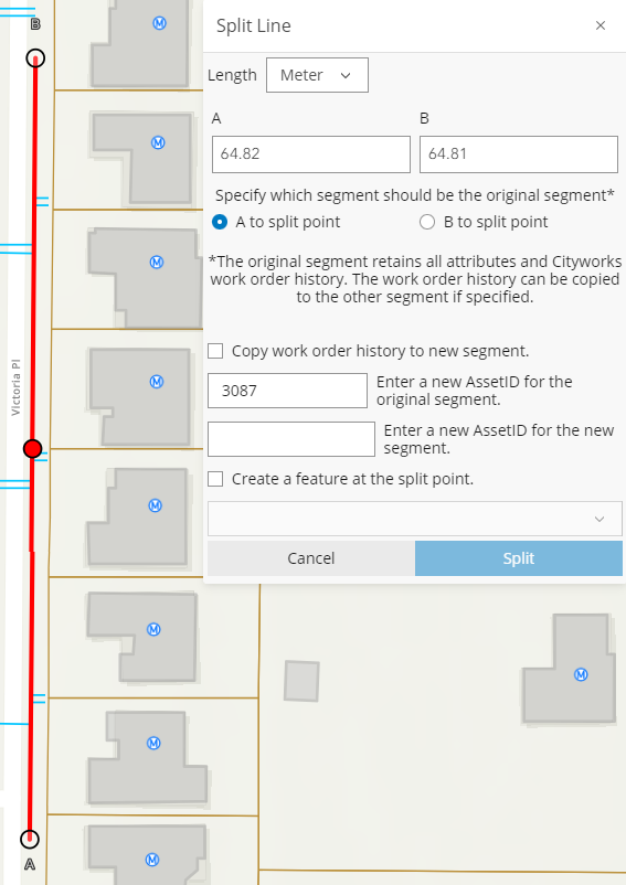 Split a Line Asset
